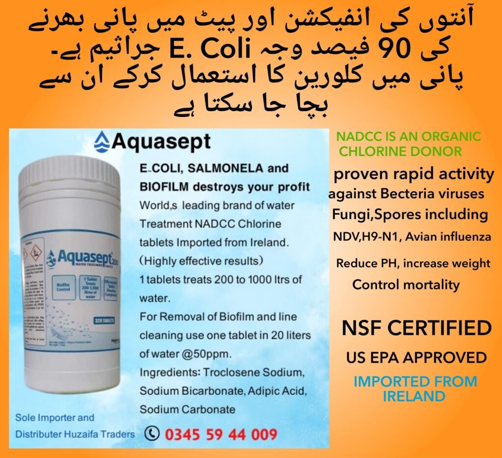 AQUASEPT |Farm Water treatment NADCC Chlorine tablets| 🐔 - Aquatabs ...